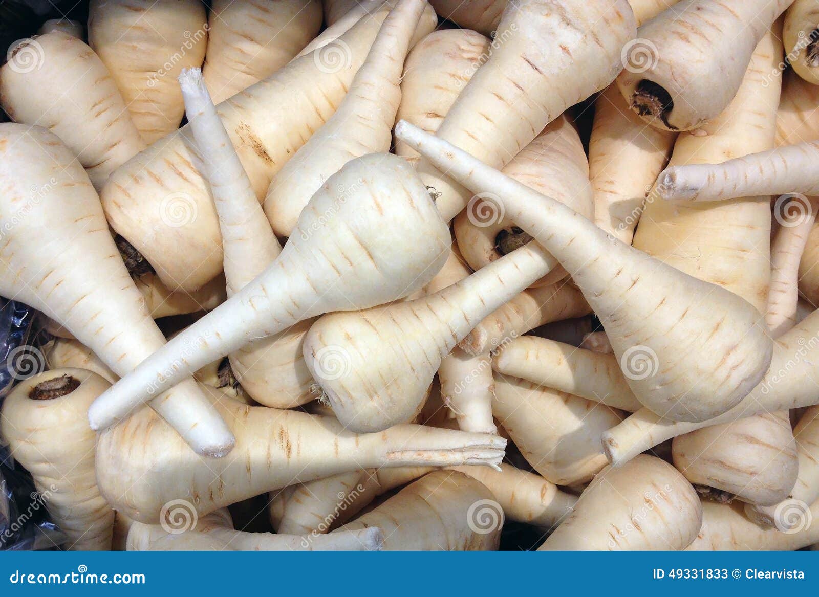 Washed raw parsnips. stock image. Image of clean, fresh - 49331833