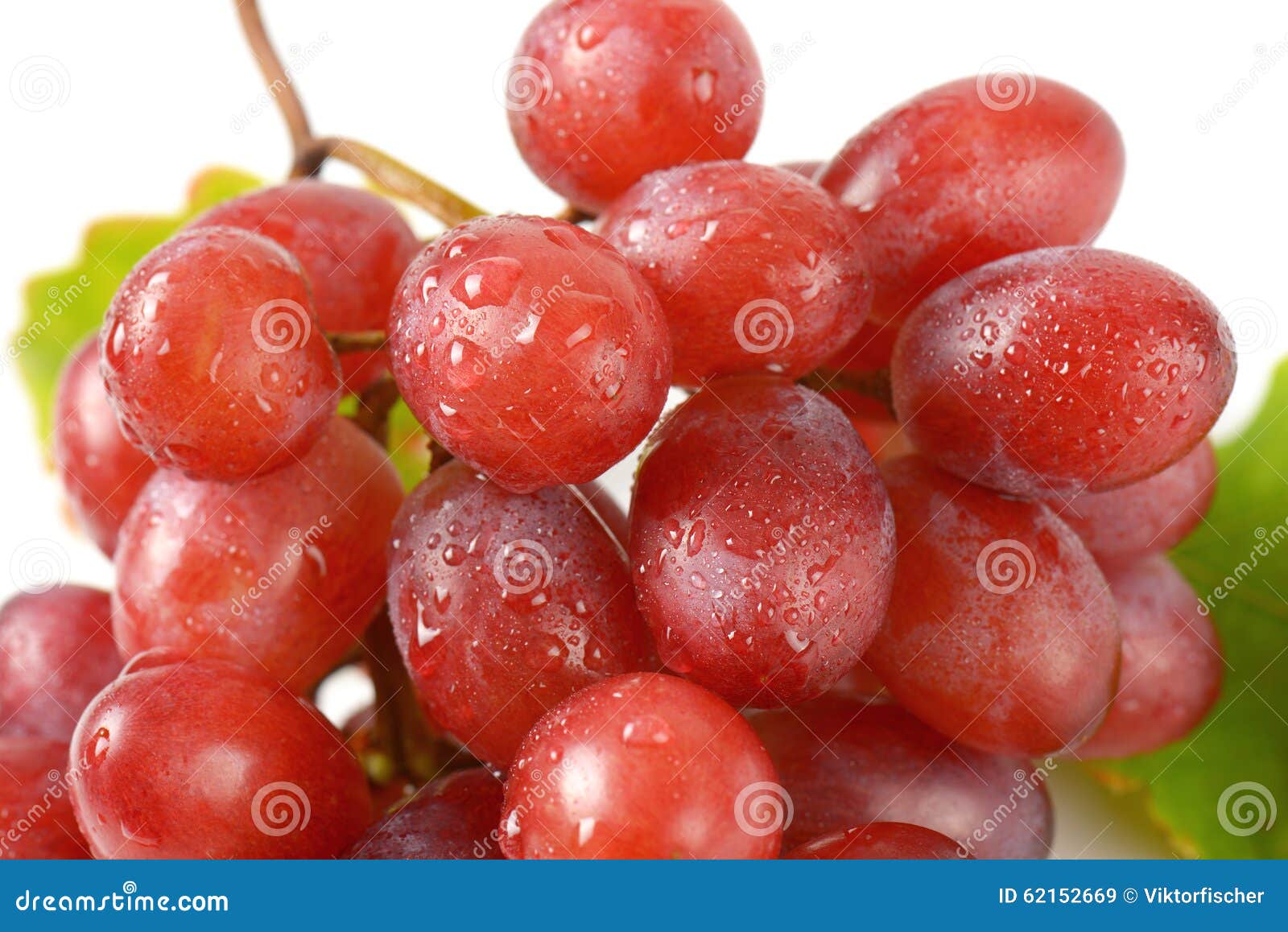 Washed red grapes stock image. Image of studio, washed - 62152669