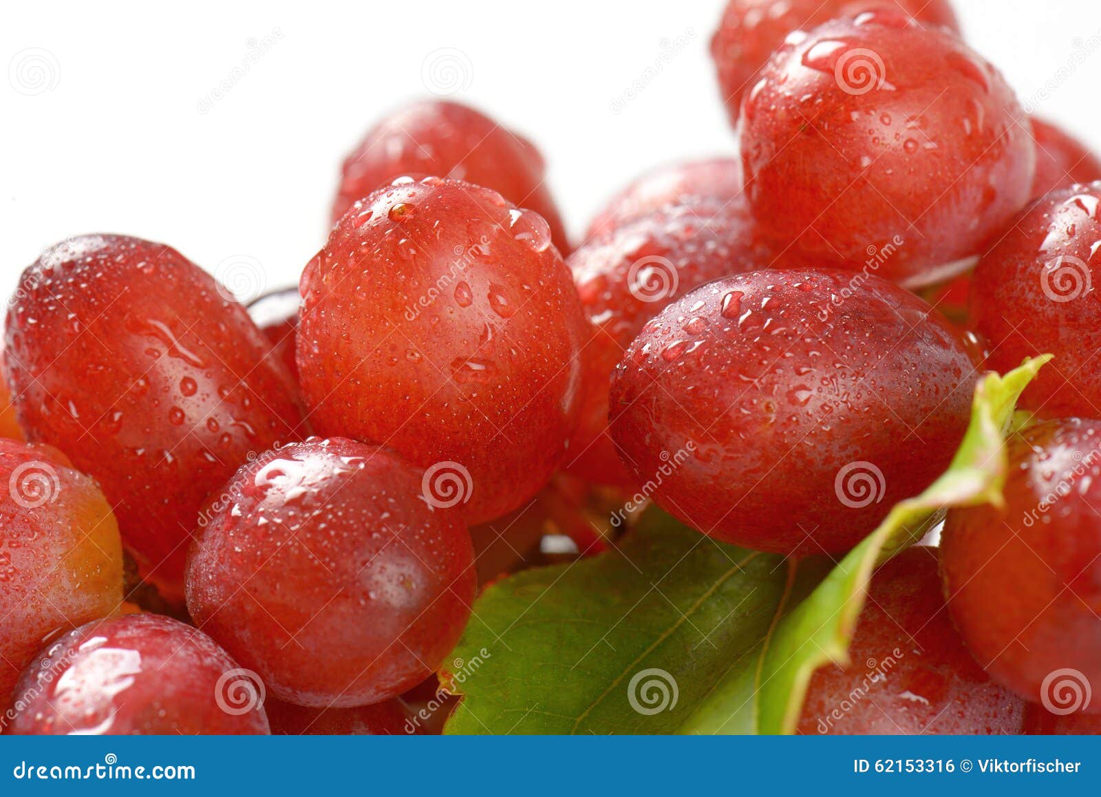 Washed red grapes stock photo. Image of branch, ingredient - 62153316