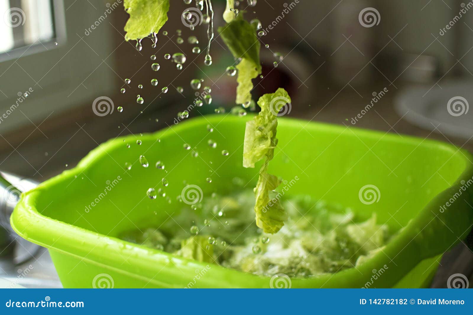 Washed and Sanitized Lettuce. Drops of Water and Pieces of Lettuce in ...