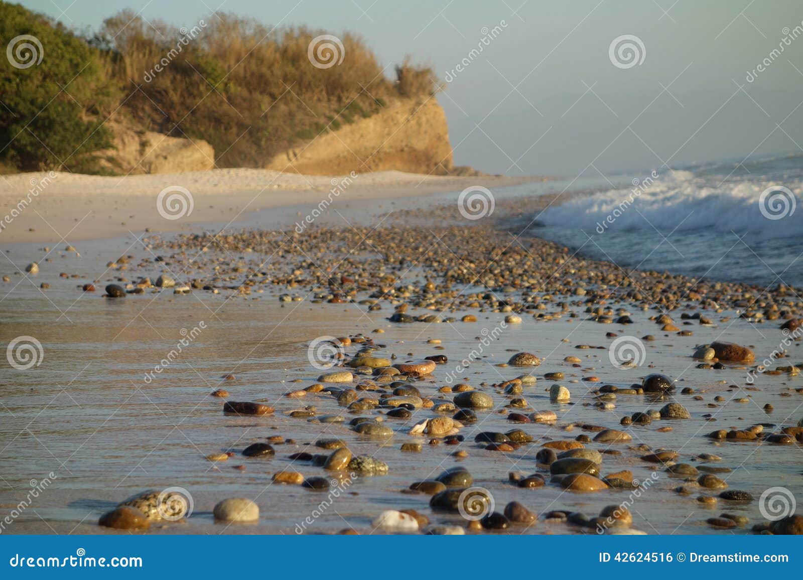 Washed Up stock photo. Image of sand, paradise, nature - 42624516