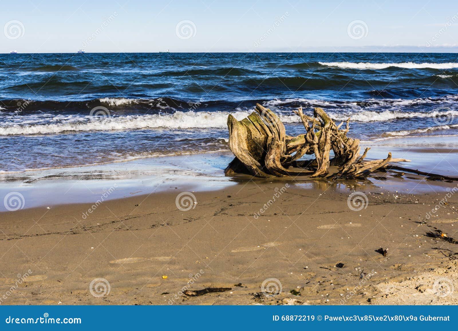 Washed Up Tree Root on the Beach. Stock Image - Image of tides, ship ...