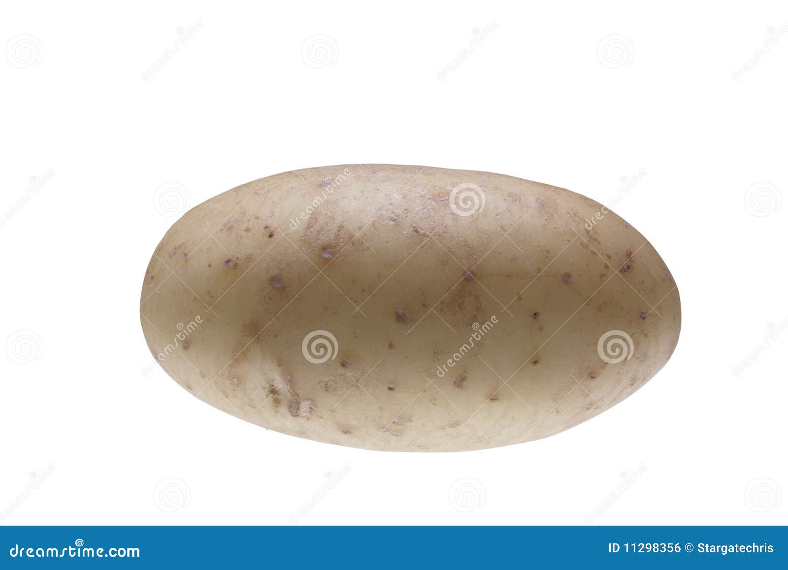 Washed White Potato stock photo. Image of organic, food - 11298356