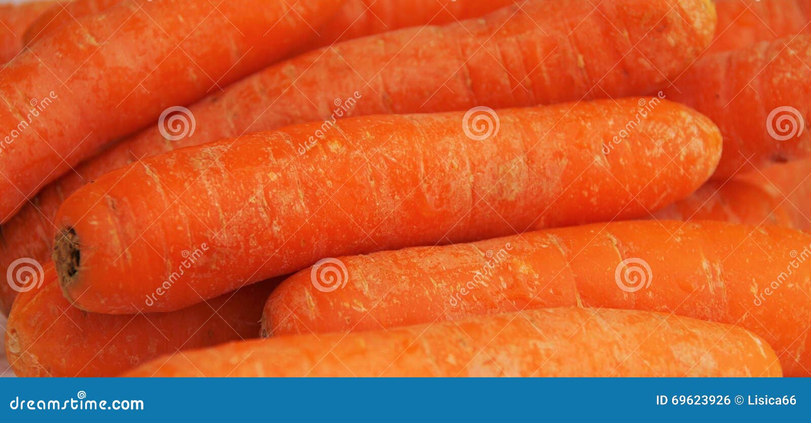 Washed whole carrots stock photo. Image of horizontal - 69623926