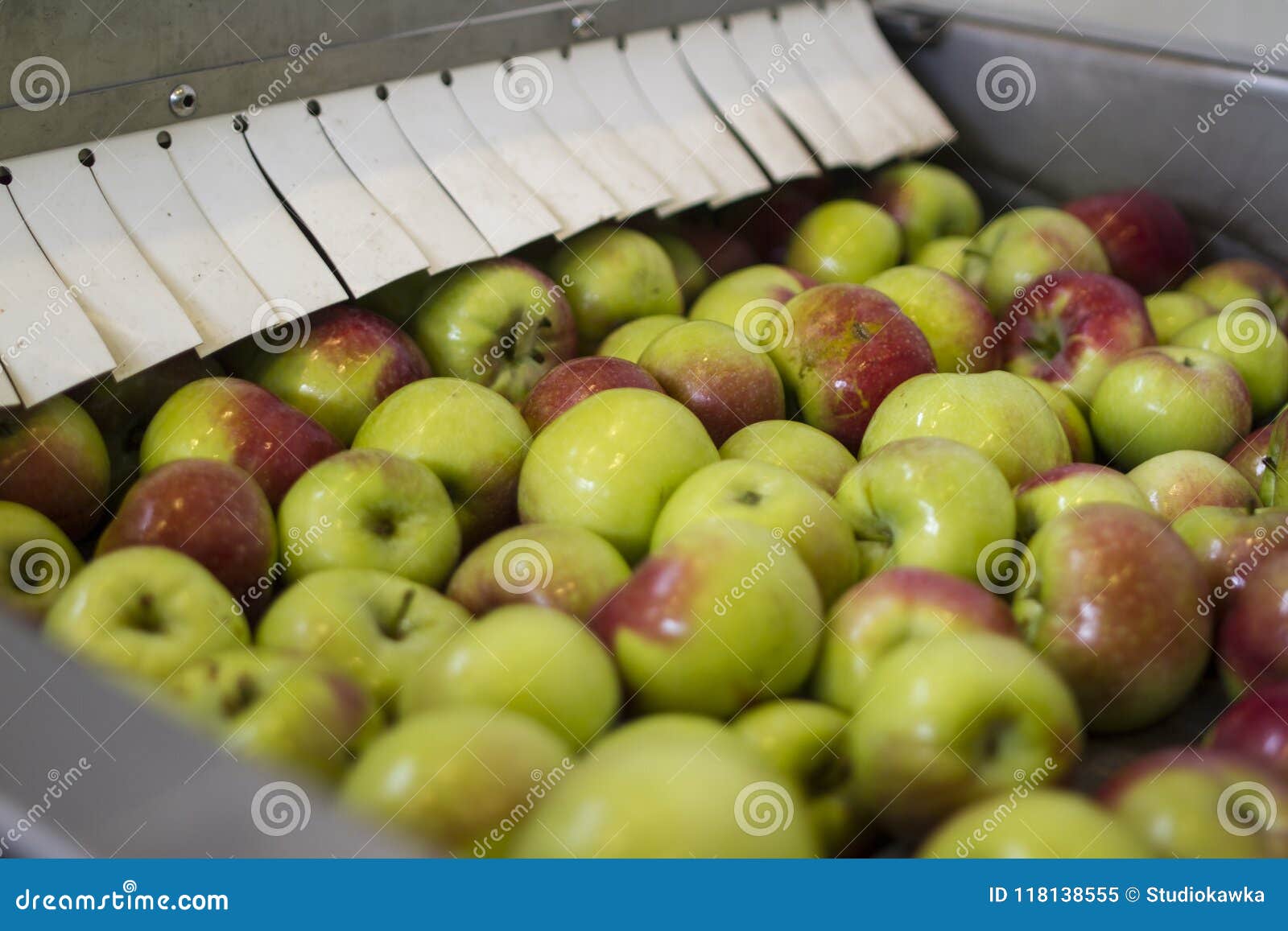 Processing Fruit Production Factory Citrus Process Harvest Conveyor ...