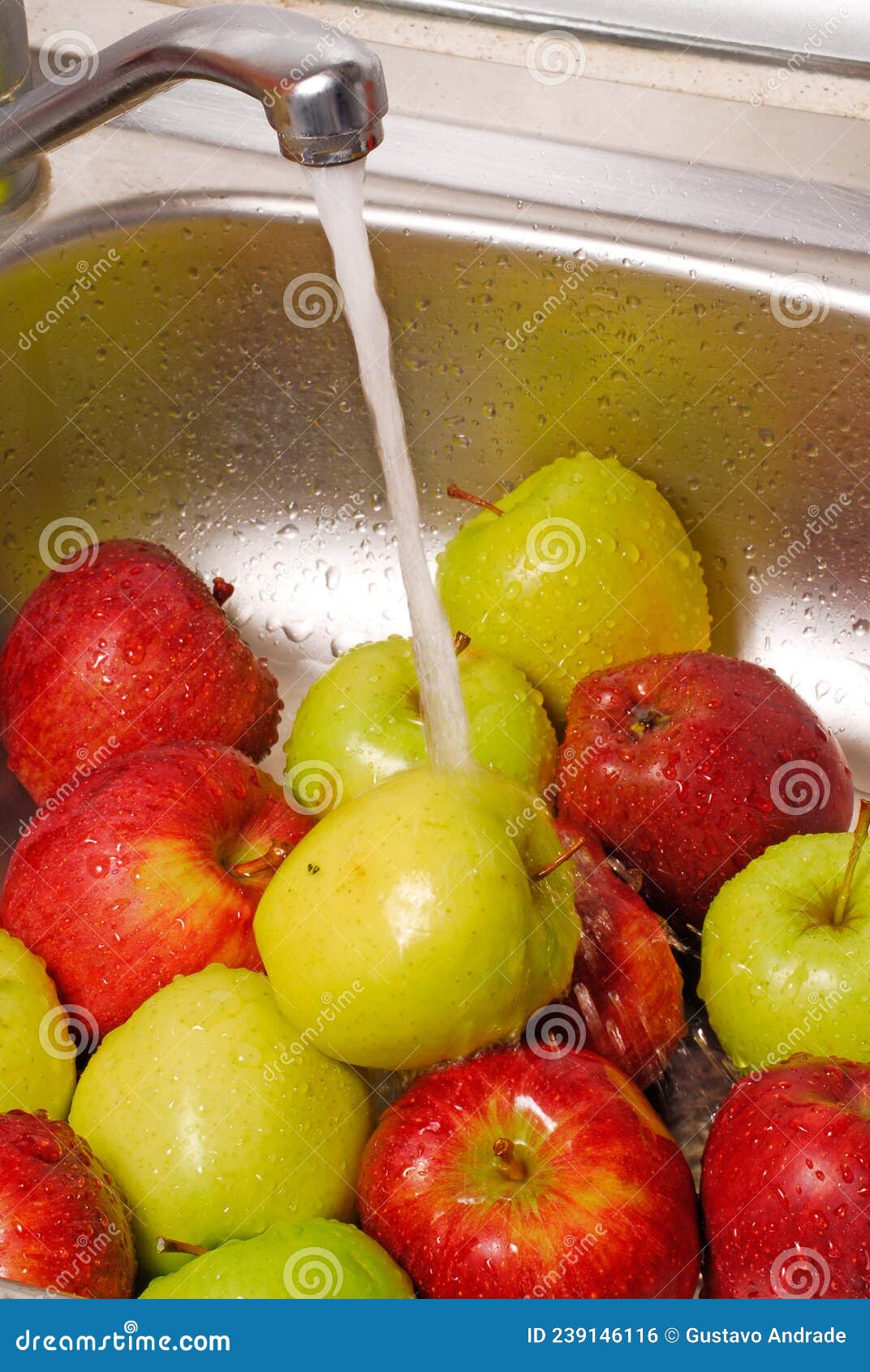 Washing Apples Fruits in the Kitchen Stock Photo - Image of green ...