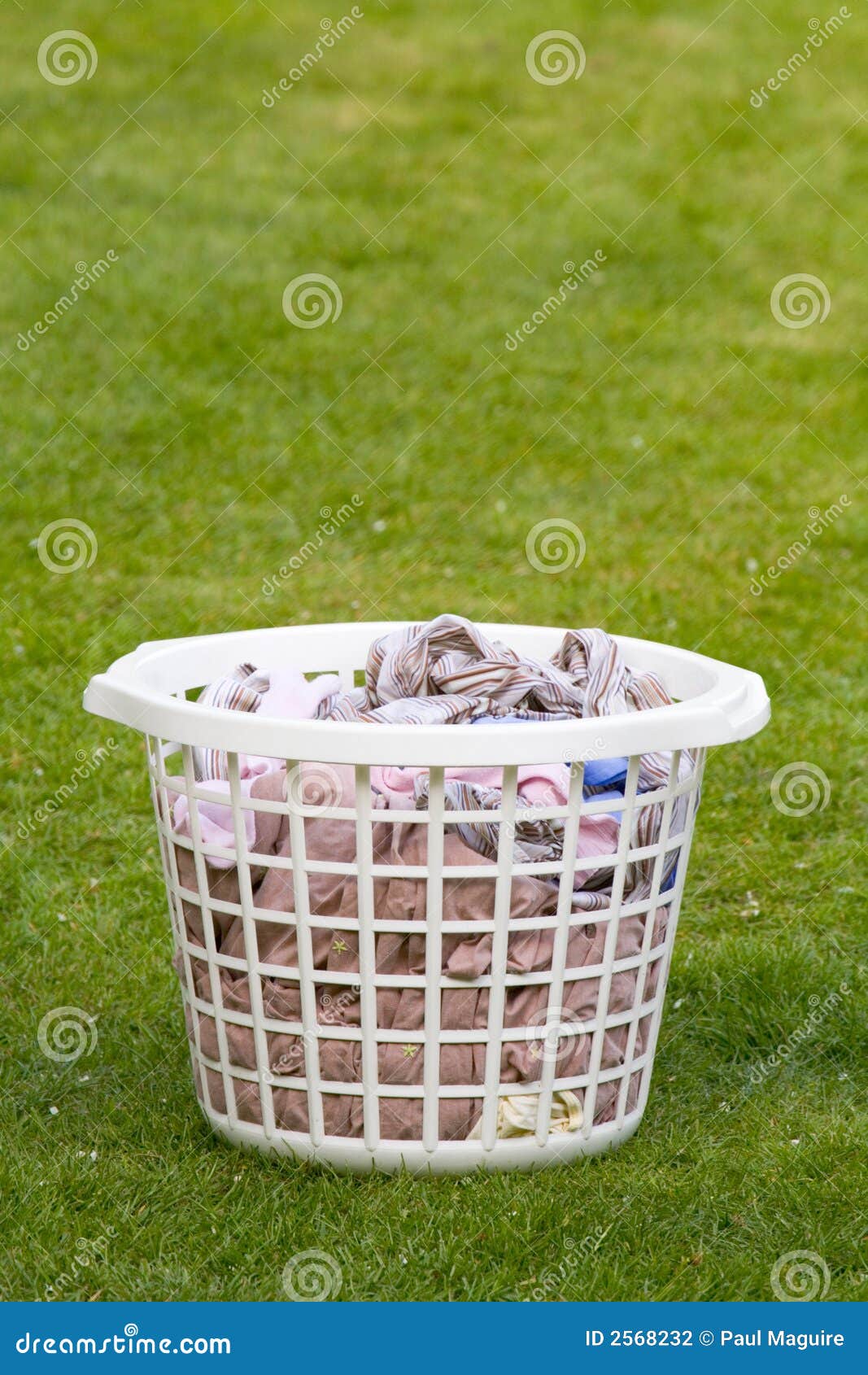 Washing basket on grass stock photo. Image of housework - 2568232
