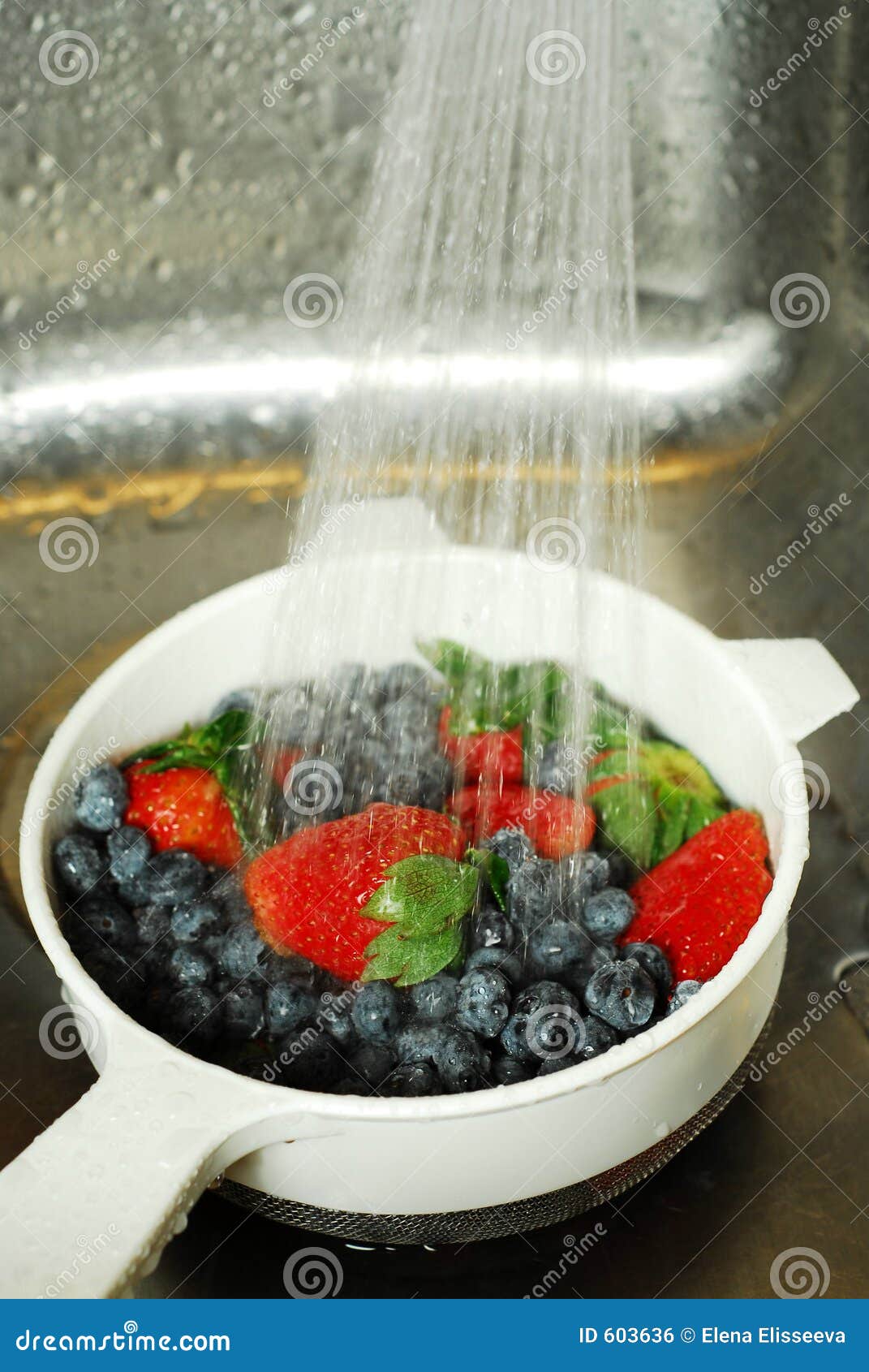 Washing berries stock photo. Image of berries, bright, fresh - 603636