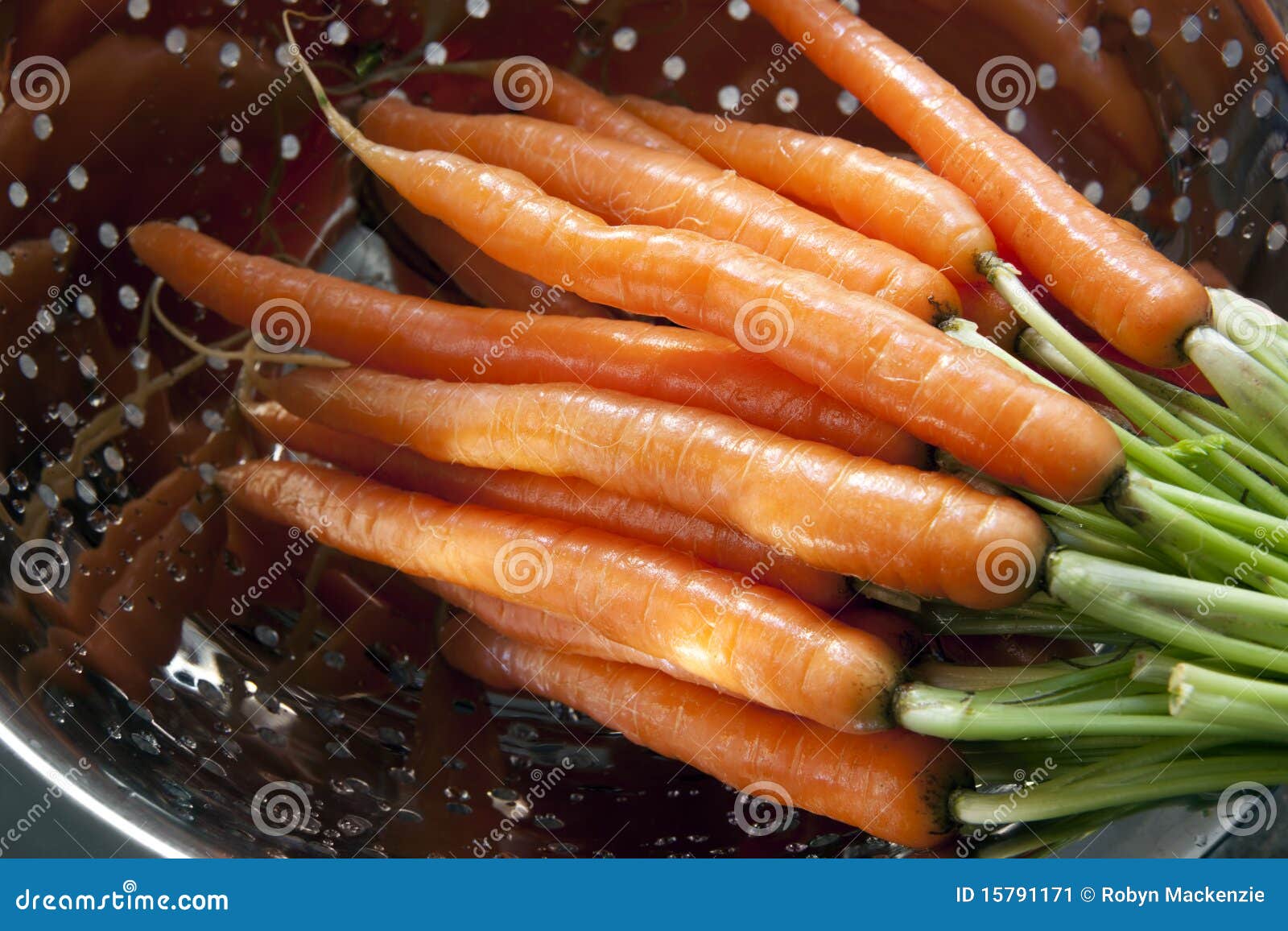 Washing Carrots stock image. Image of vegetable, carrot - 15791171