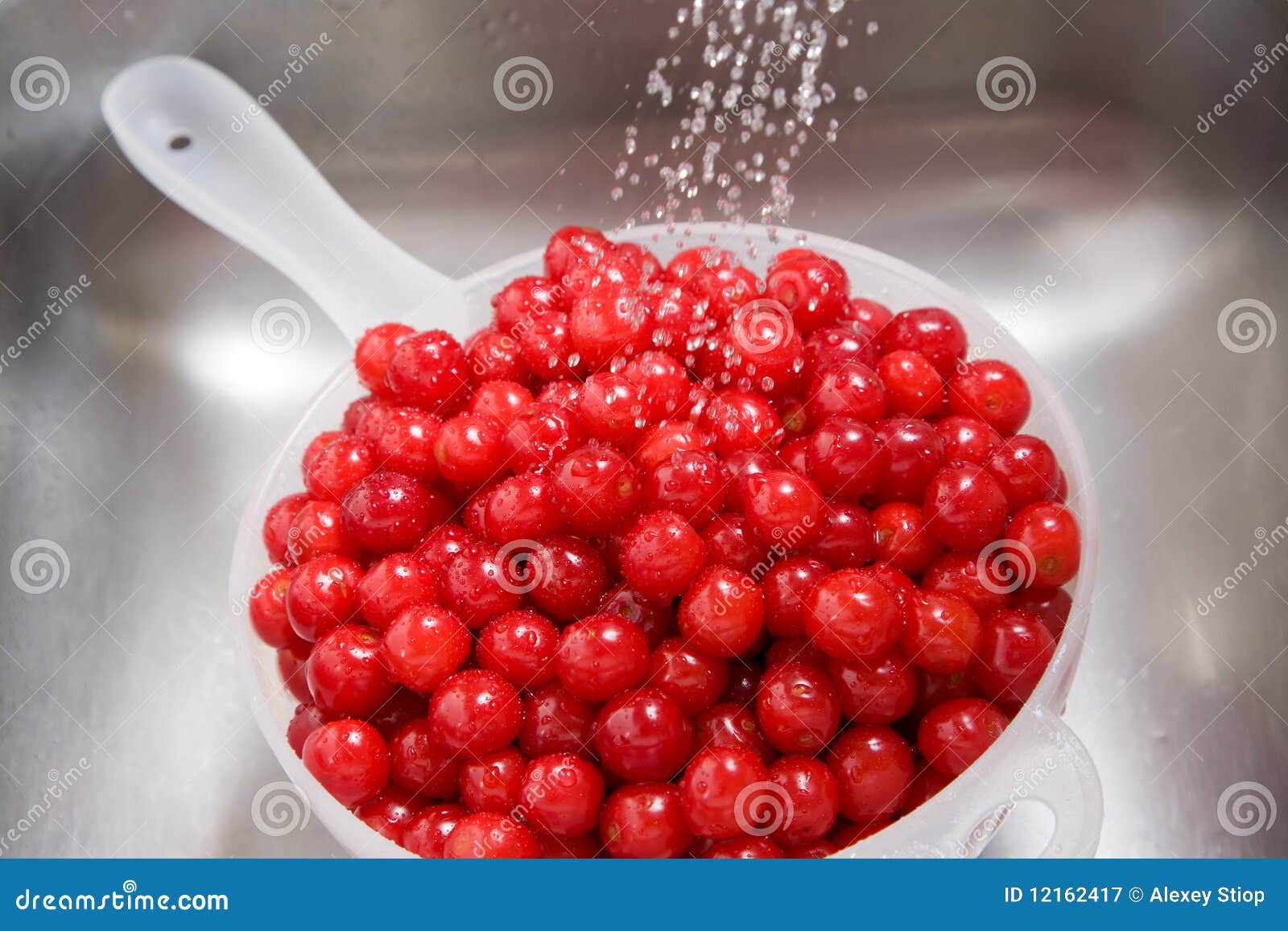 Washing cherries stock image. Image of holding, washing - 12162417