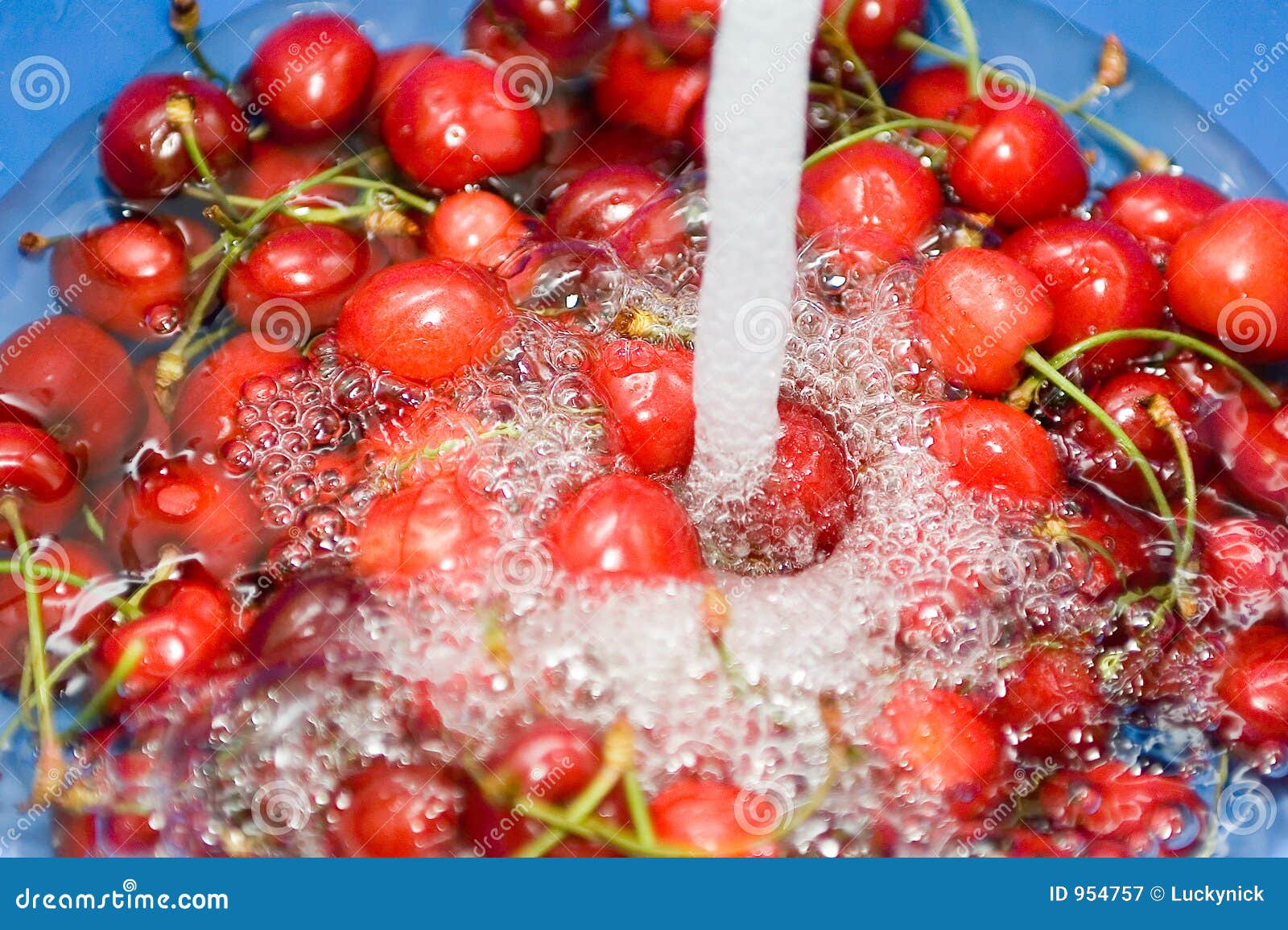 Washing Cherry stock image. Image of dish, cherry, dessert - 954757