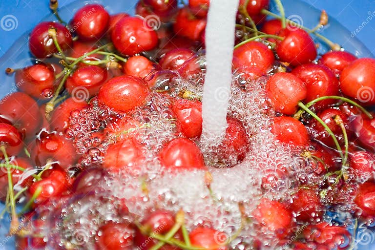 Washing Cherry stock image. Image of dish, cherry, dessert - 954757