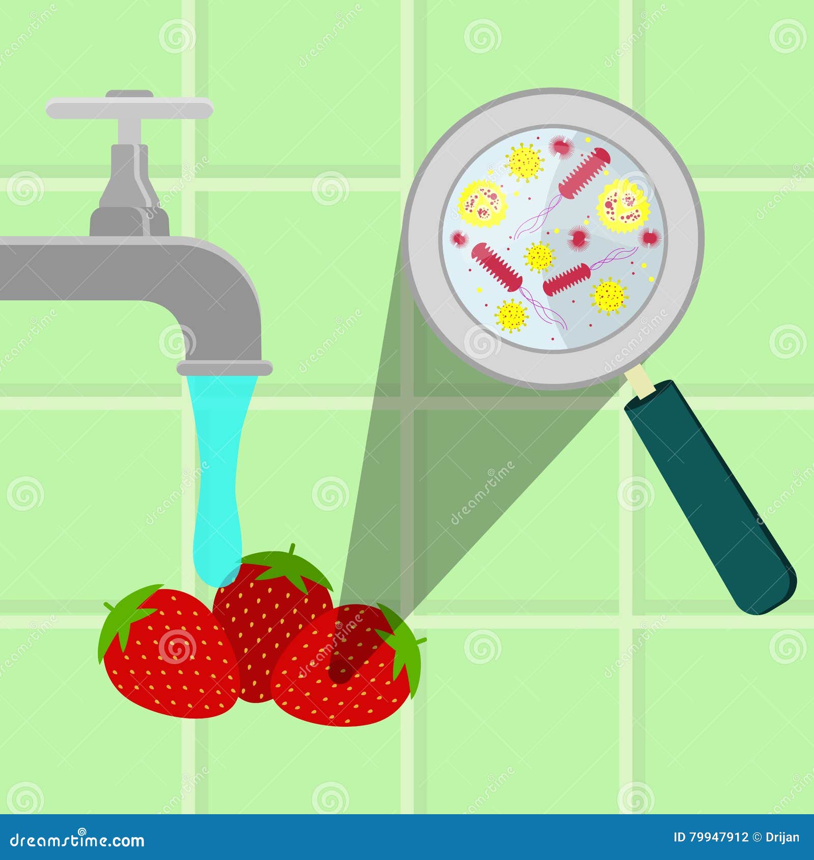 Washing Contaminated Strawberries Stock Vector - Illustration of food ...