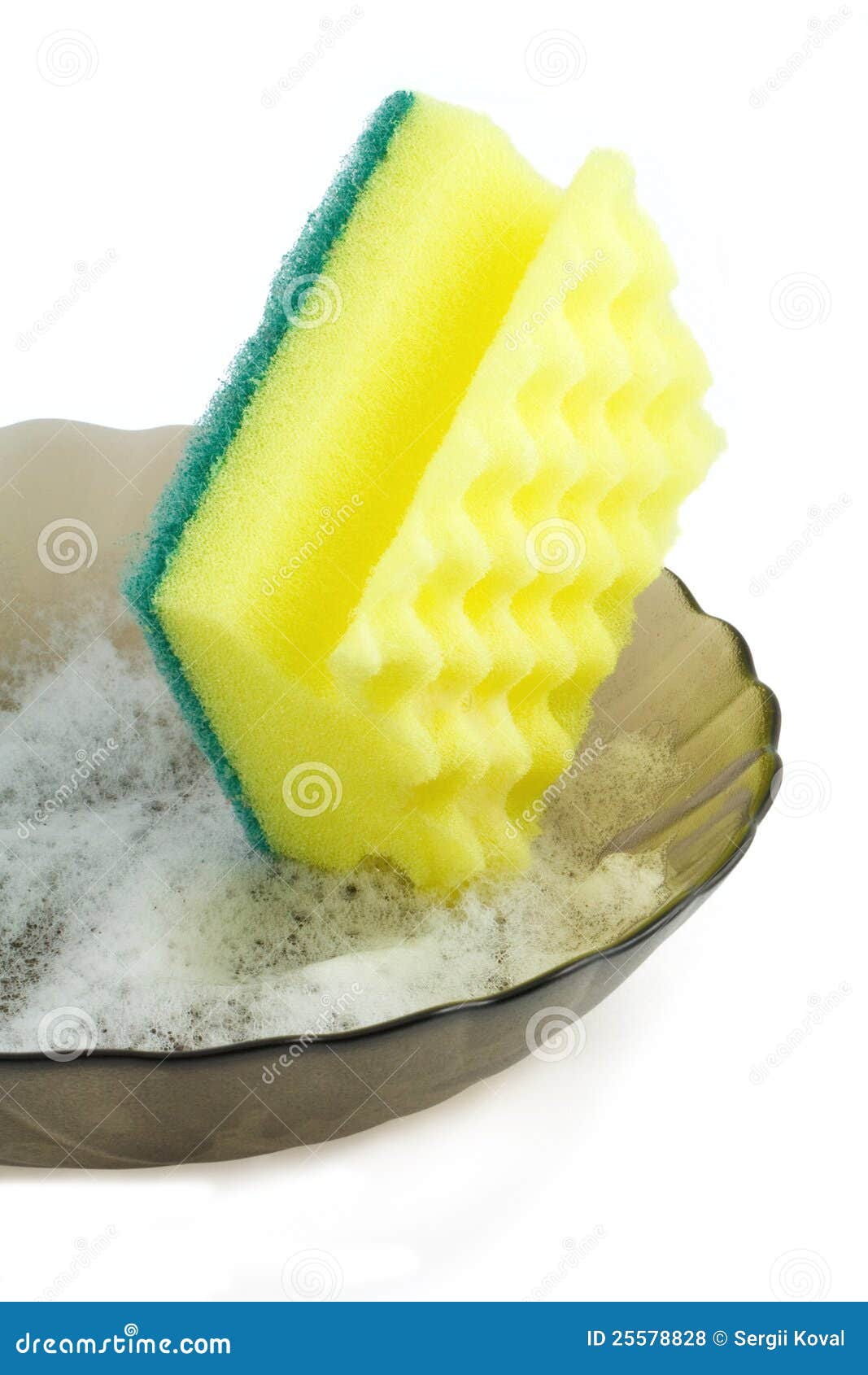 Washing the Dishes with a Sponge. Stock Photo - Image of dishware ...