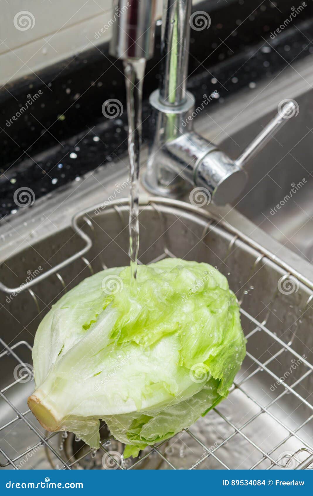 Washing fresh cabbage stock photo. Image of vegetarian - 89534084