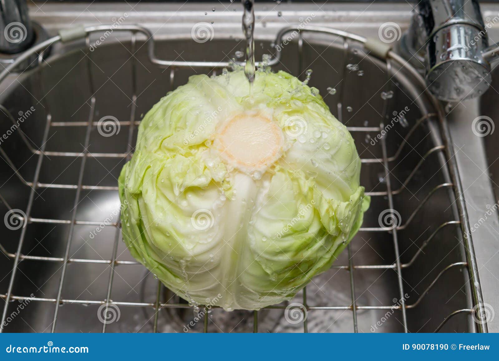 Washing fresh cabbage stock photo. Image of green, faucet - 90078190