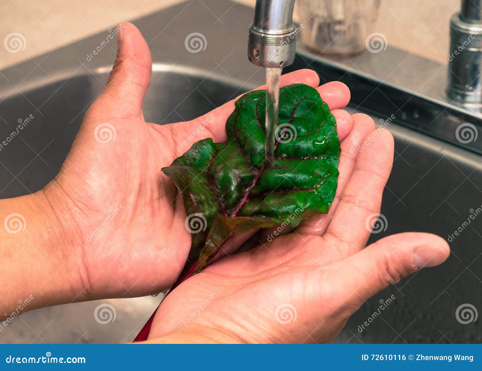 Washing Fresh Green Vegetable Leave with Hands Stock Photo - Image of ...