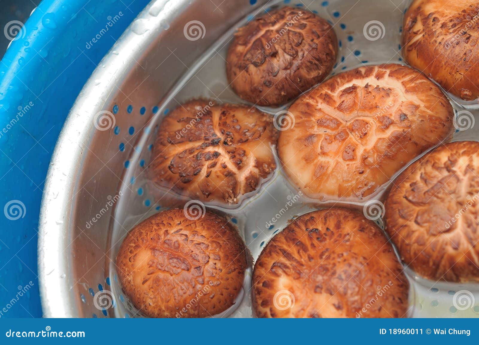 Washing fresh mushrooms stock image. Image of asian, plate - 18960011