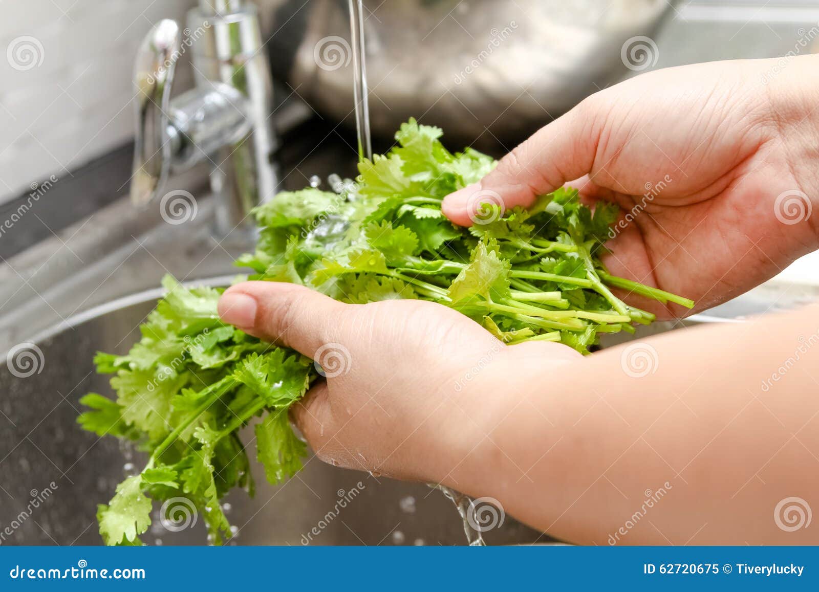 Washing fresh vegetable stock image. Image of hand, dieting - 62720675