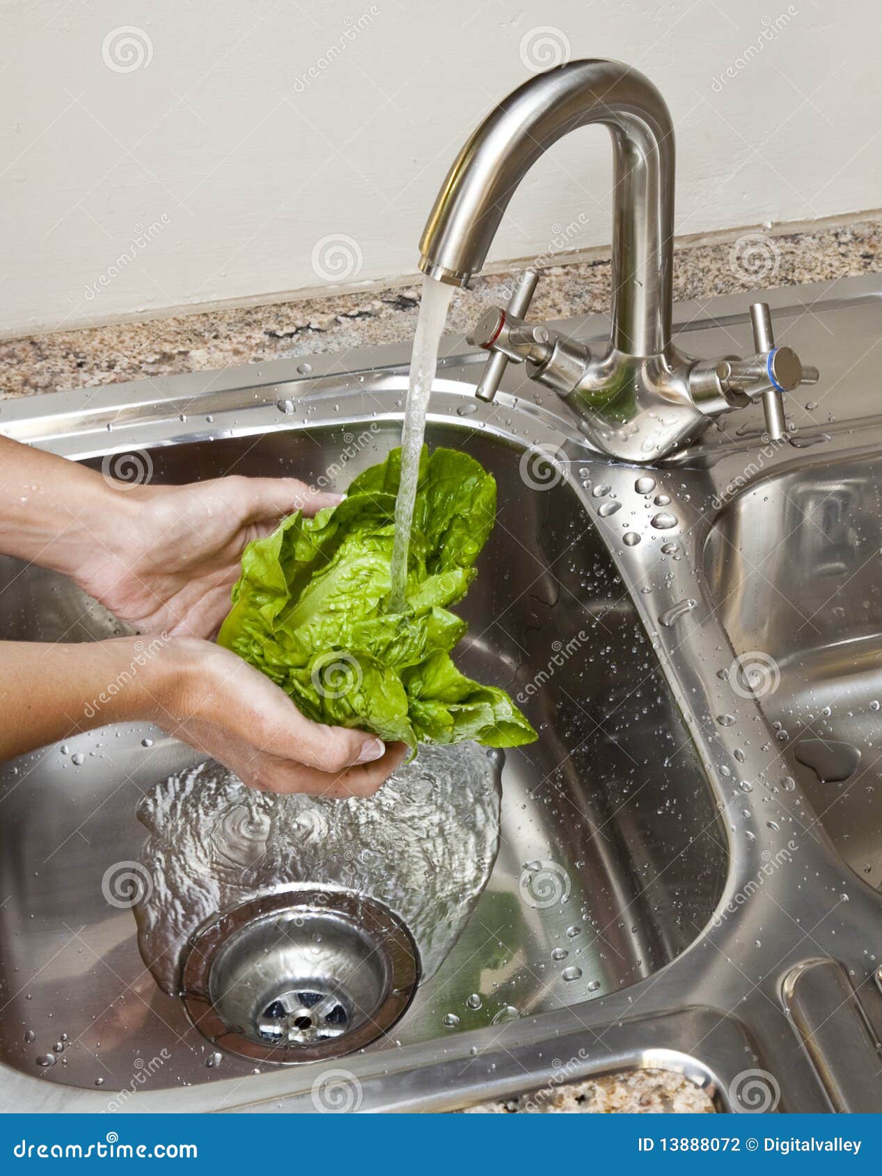 Washing Lettuce stock photo. Image of mixer, lettuce - 13888072