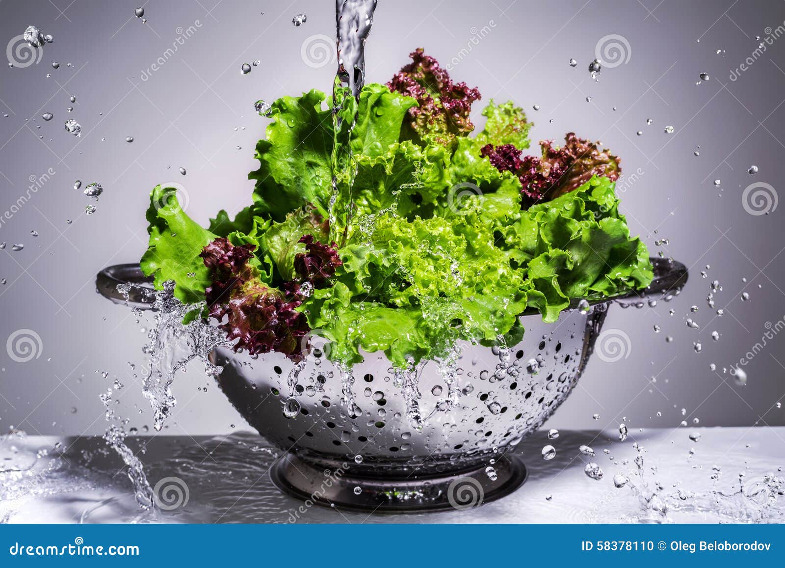 Washing lettuce stock photo. Image of natural, vegetable - 58378110