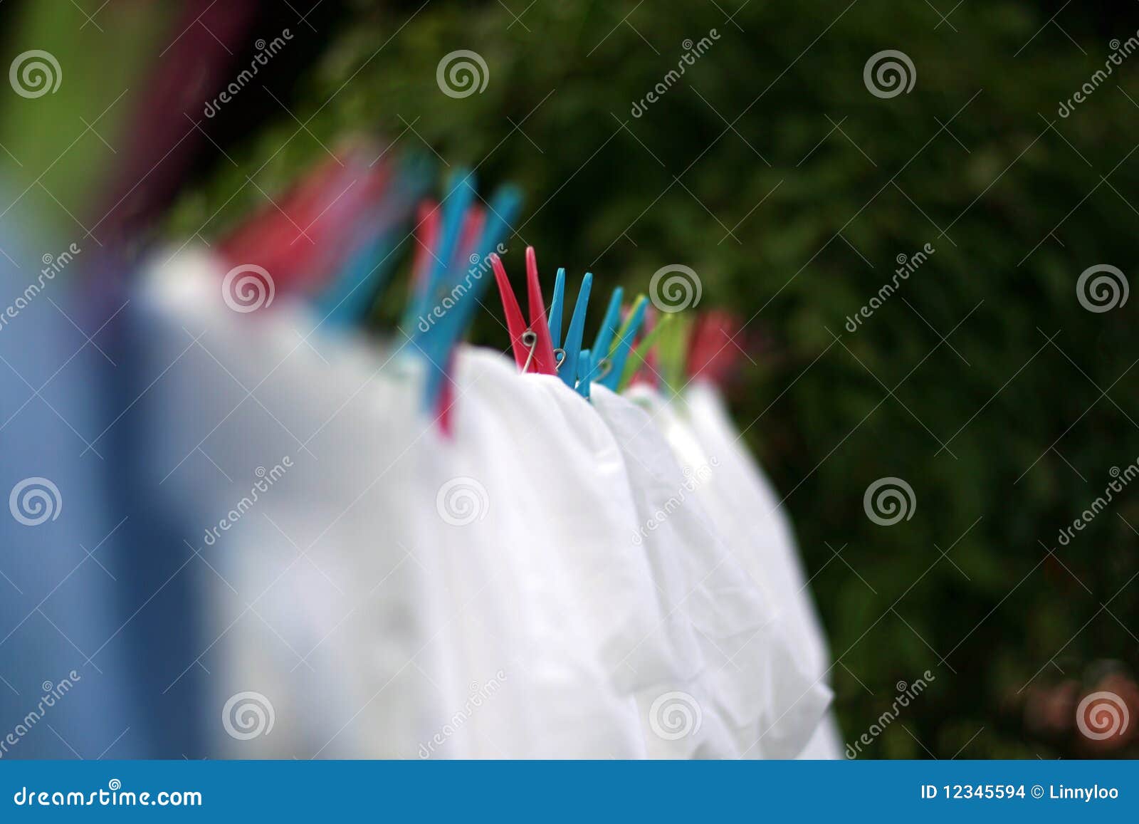 Washing Line stock photo. Image of garden, colorful, fresh - 12345594