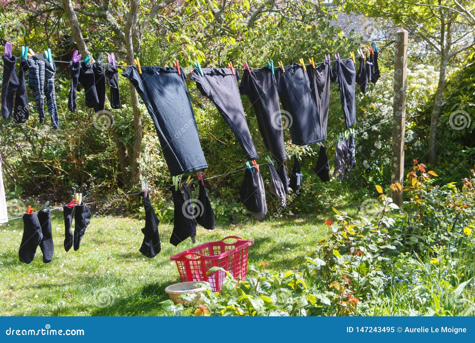 Washing line with clothes stock image. Image of washing - 147243495