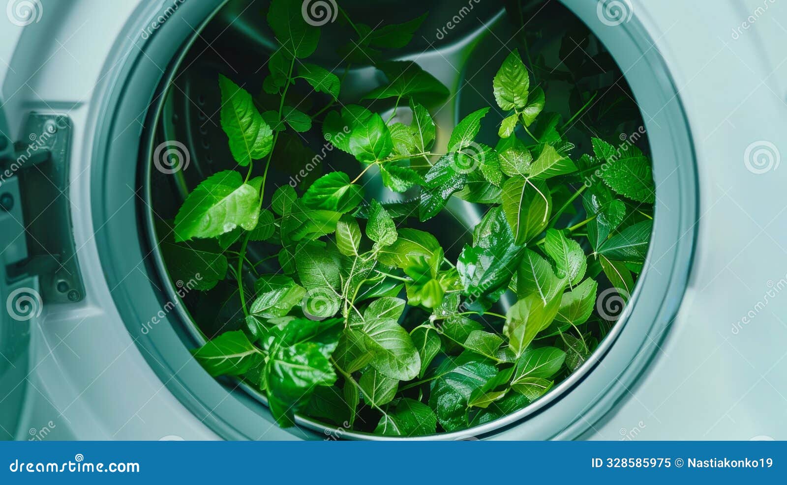 Washing Machine with Green Leaves Inside, Close-up. Eco-friendly ...