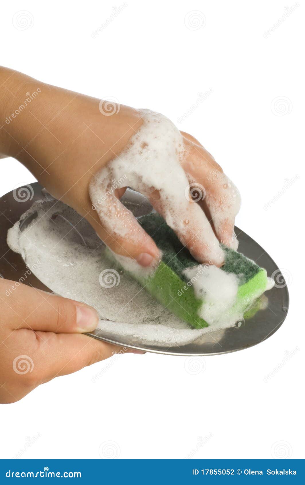 Washing plate stock photo. Image of hands, food, water - 17855052