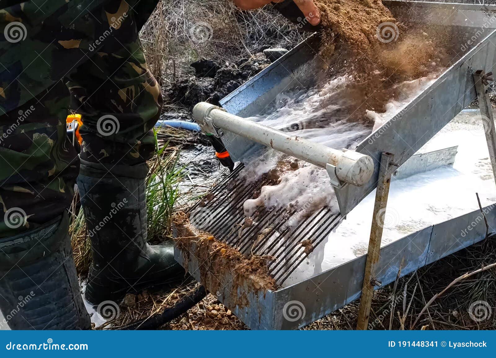 Washing Rock Containing Gold. Search and Extraction of Gold Stock Image ...