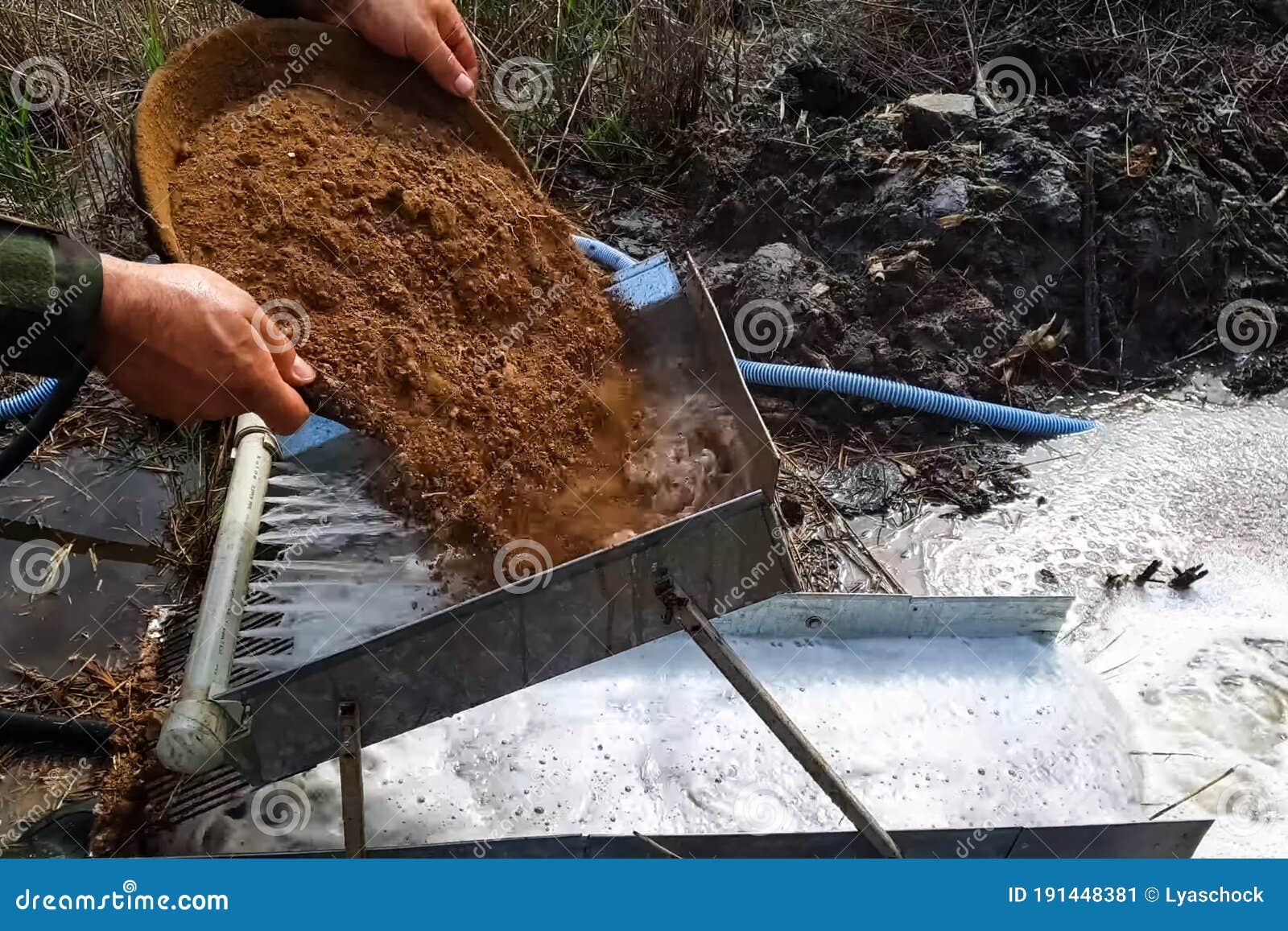 Washing Rock Containing Gold. Search and Extraction of Gold Stock Image ...