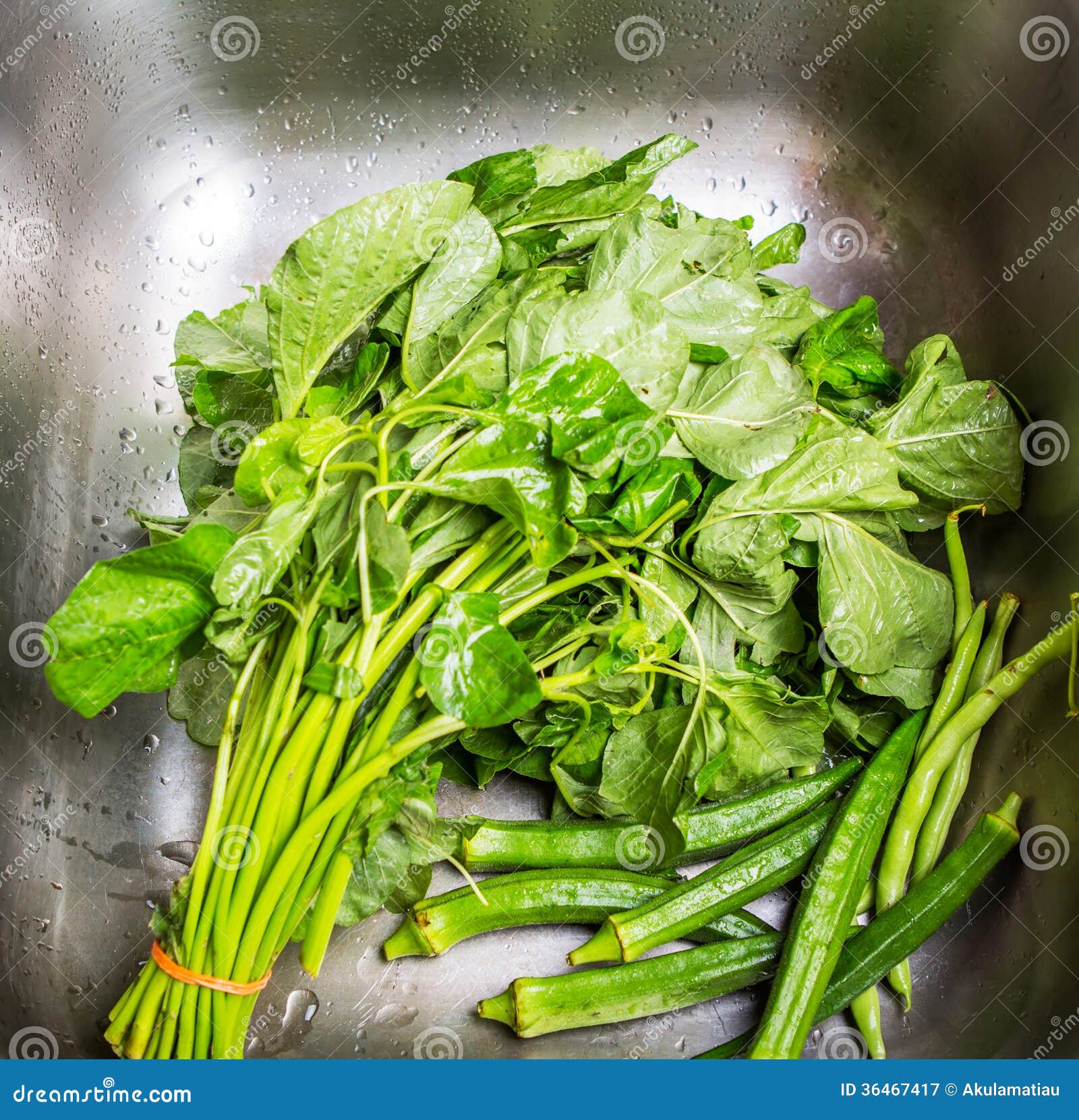 Washing Spinach Vegetables stock image. Image of plant - 36467417