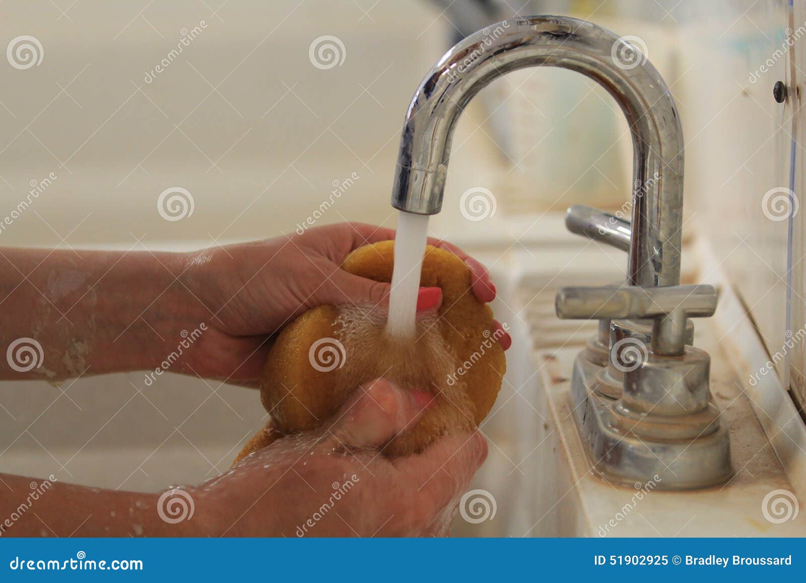 Washing Sponge stock image. Image of hand, water, pink - 51902925