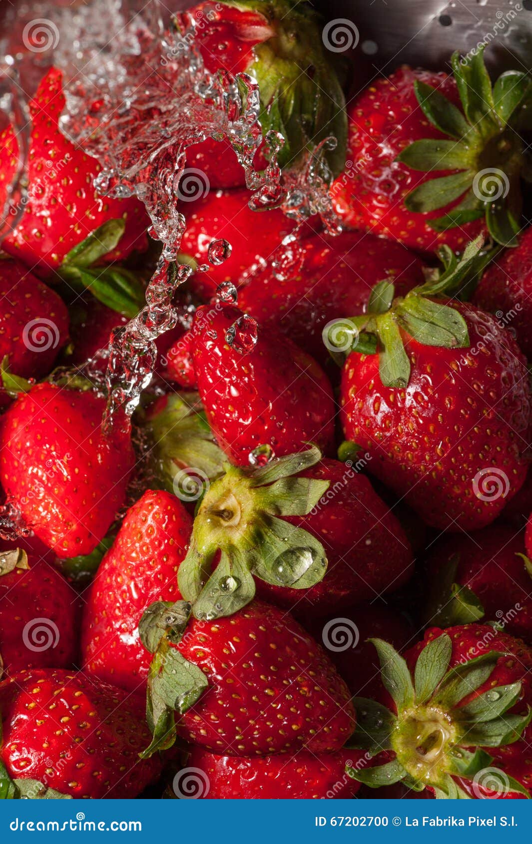 Washing Strawberries Macro a Stock Photo - Image of natural, strawberry ...