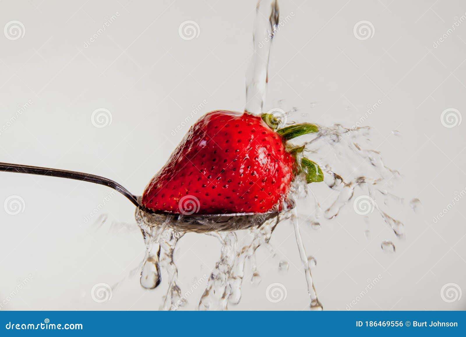 Washing a Strawberry stock photo. Image of fruit, cold - 186469556