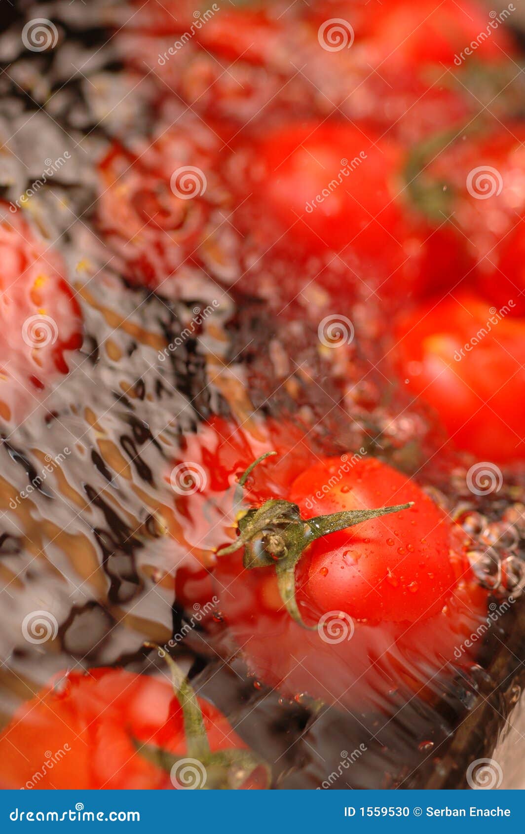 Washing tomatoes stock photo. Image of wash, tomato, cleaning - 1559530