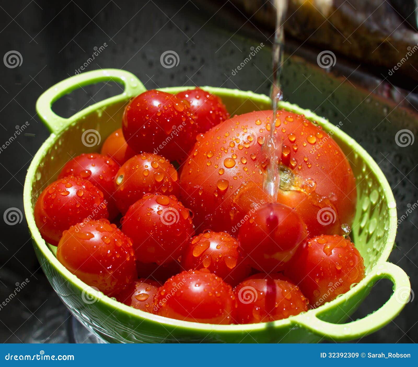 Washing tomatoes stock image. Image of clean, washing - 32392309