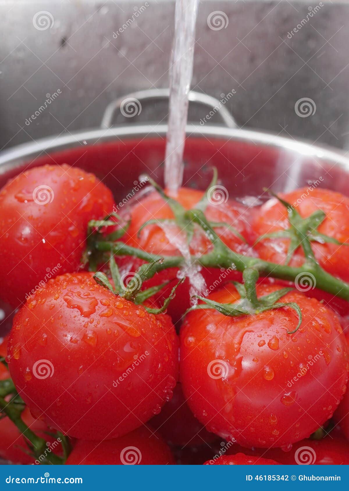 Washing tomatoes stock photo. Image of ripe, clean, splash - 46185342