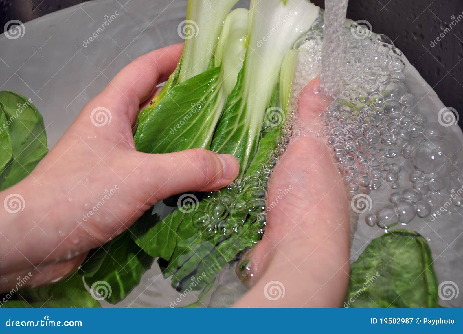 Washing vegetable stock image. Image of motion, ripe - 19502987