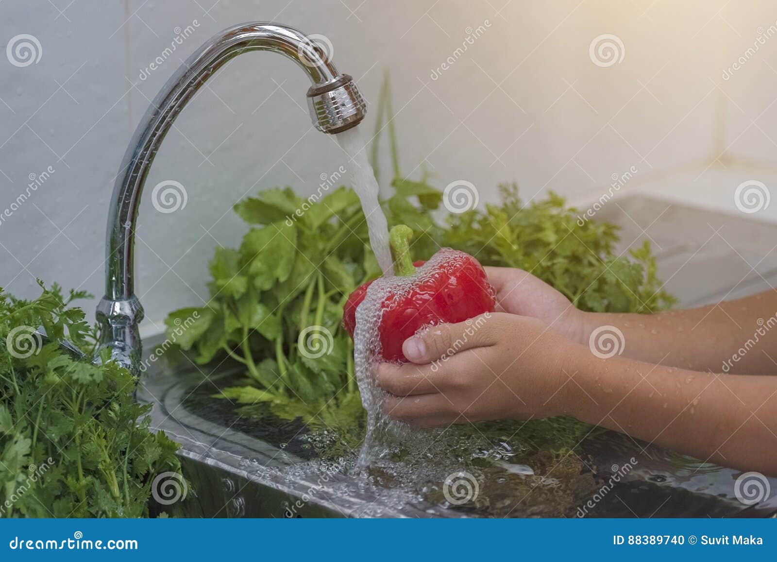Washing vegetables stock photo. Image of green, pouring - 88389740