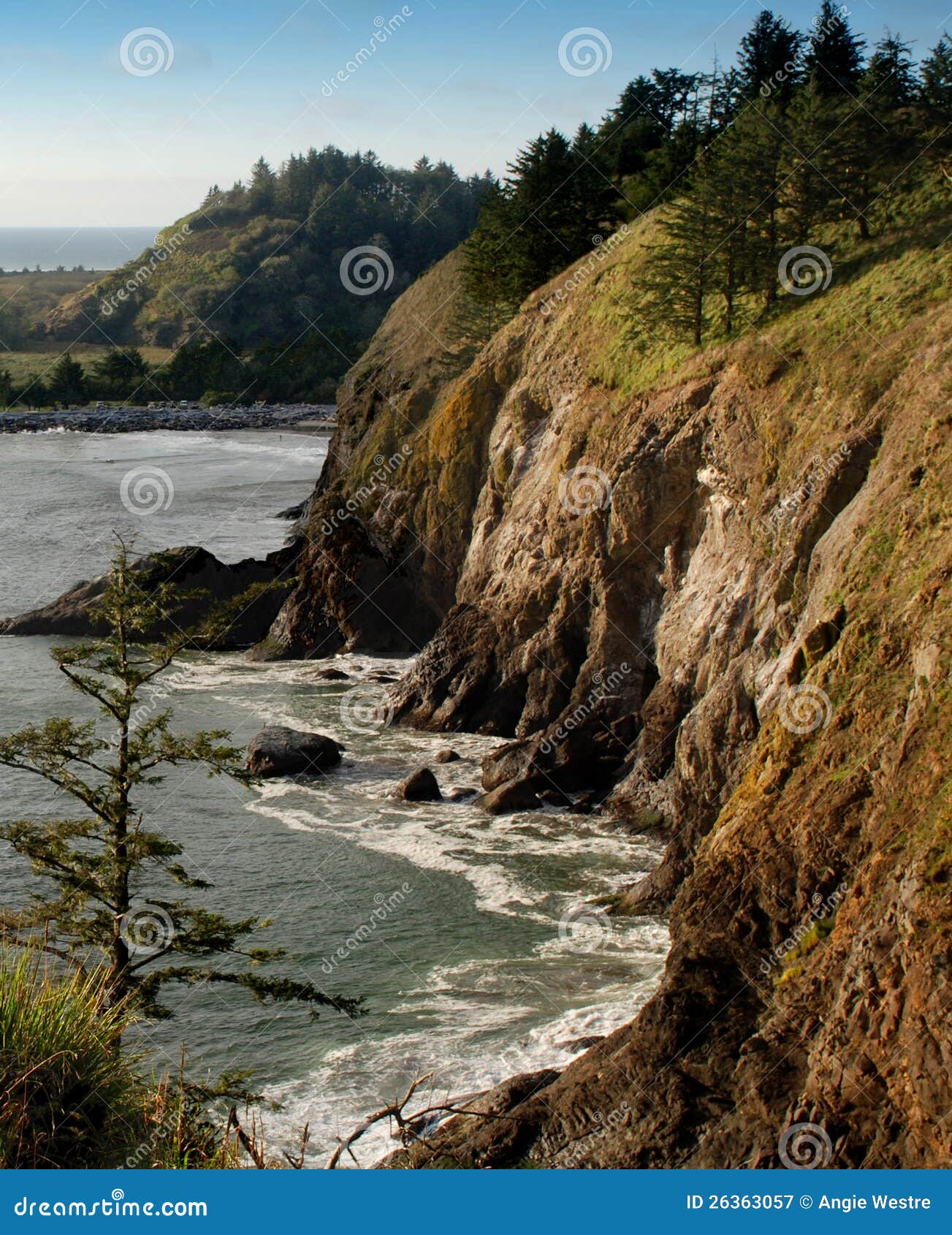 Washington Coastal Cliff stock image. Image of ocean - 26363057