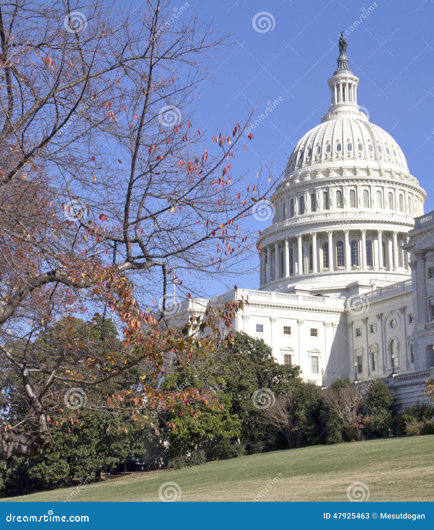 Washington DC , Capitol Building Stock Image - Image of house, history ...