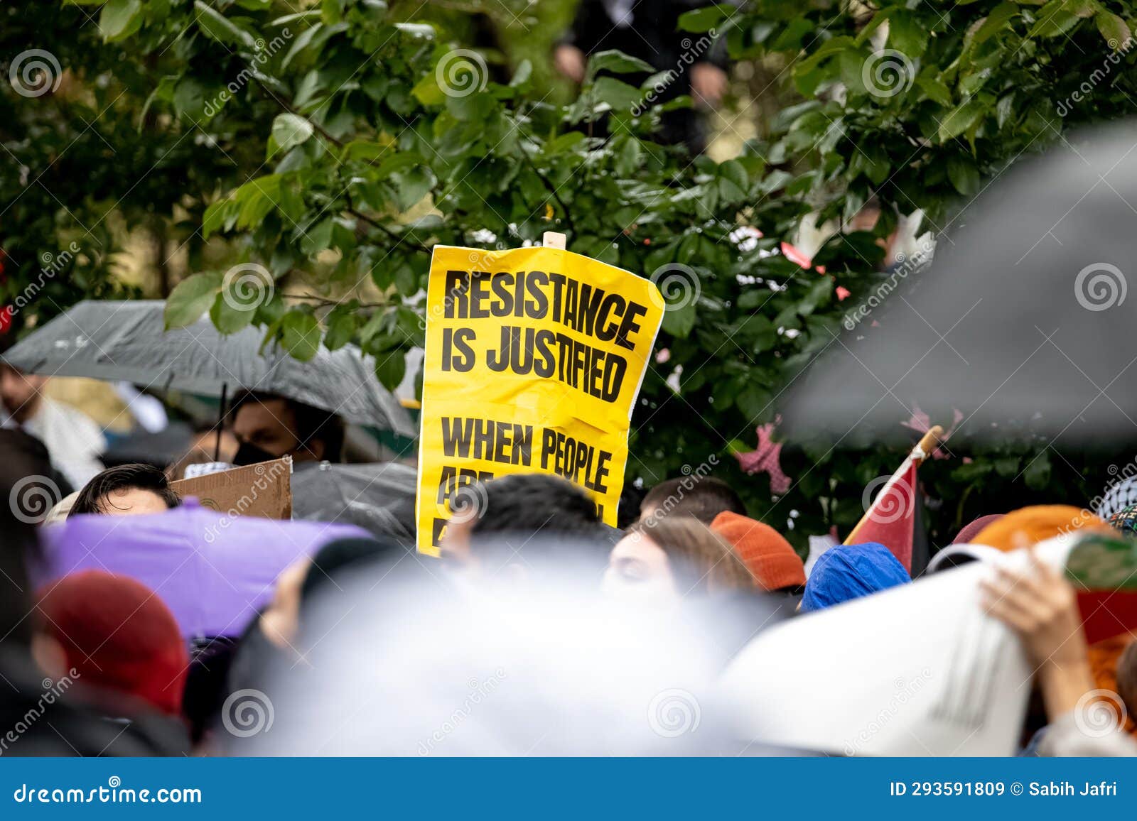Washington DC 10142023 : Cartelli Di Protesta in Palestina a Washington ...
