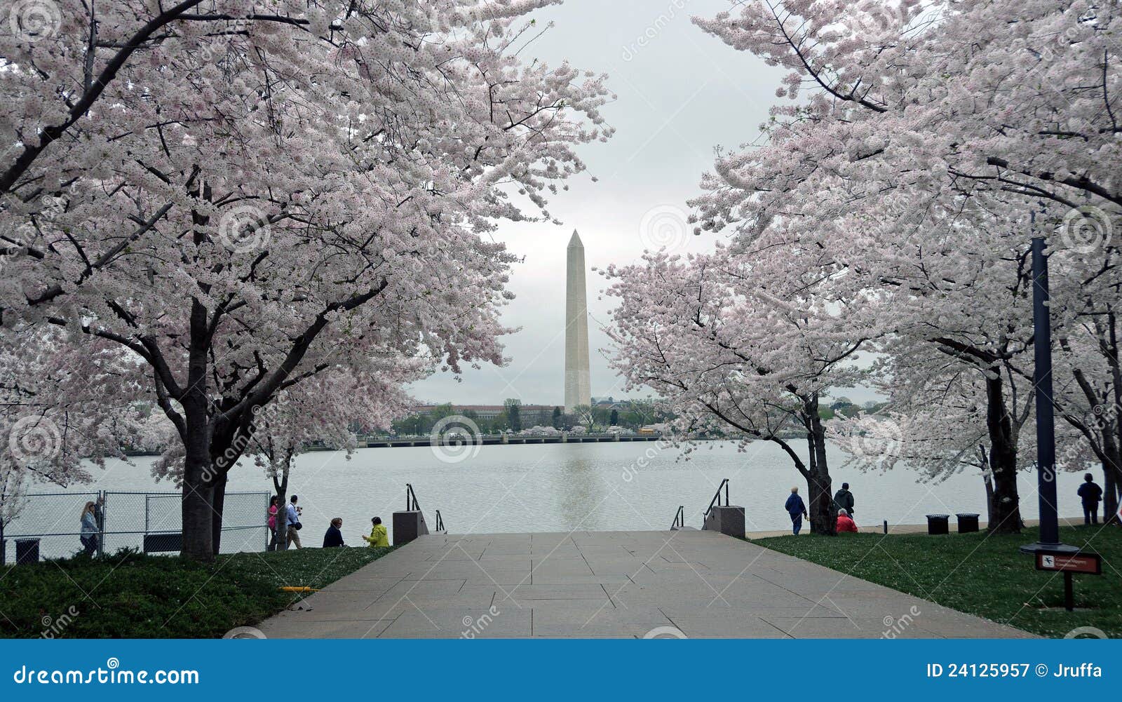 Washington DC Cherry Blossom Festival Editorial Photography - Image of ...