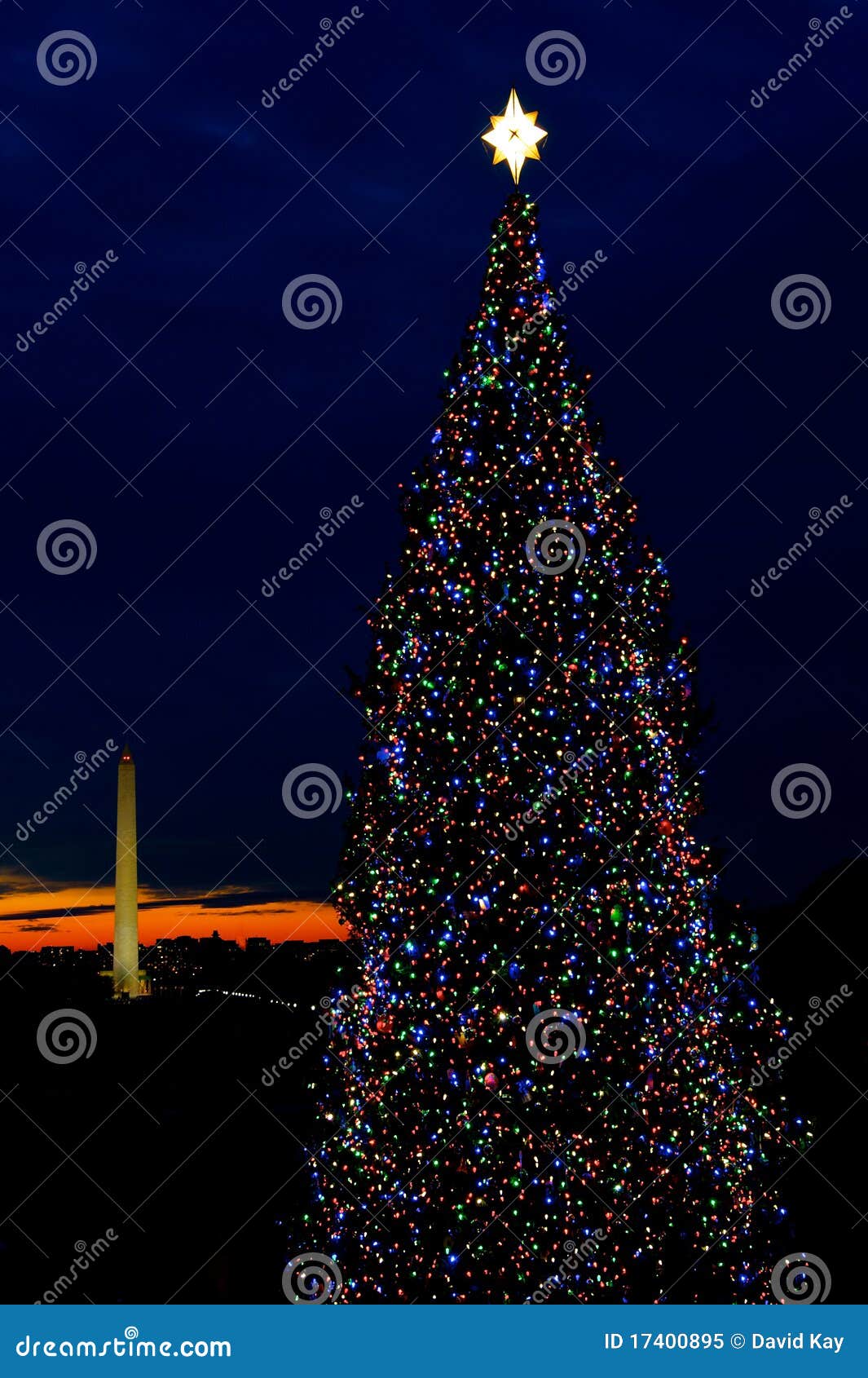 Washington DC Christmas Tree Stock Image - Image of light, sunset: 17400895