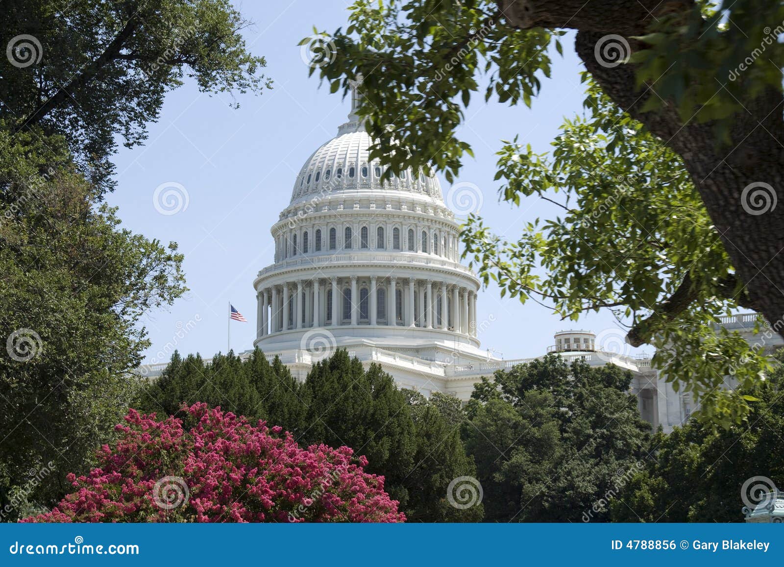 Washington, DC - City of Trees Stock Photo - Image of marble, city: 4788856