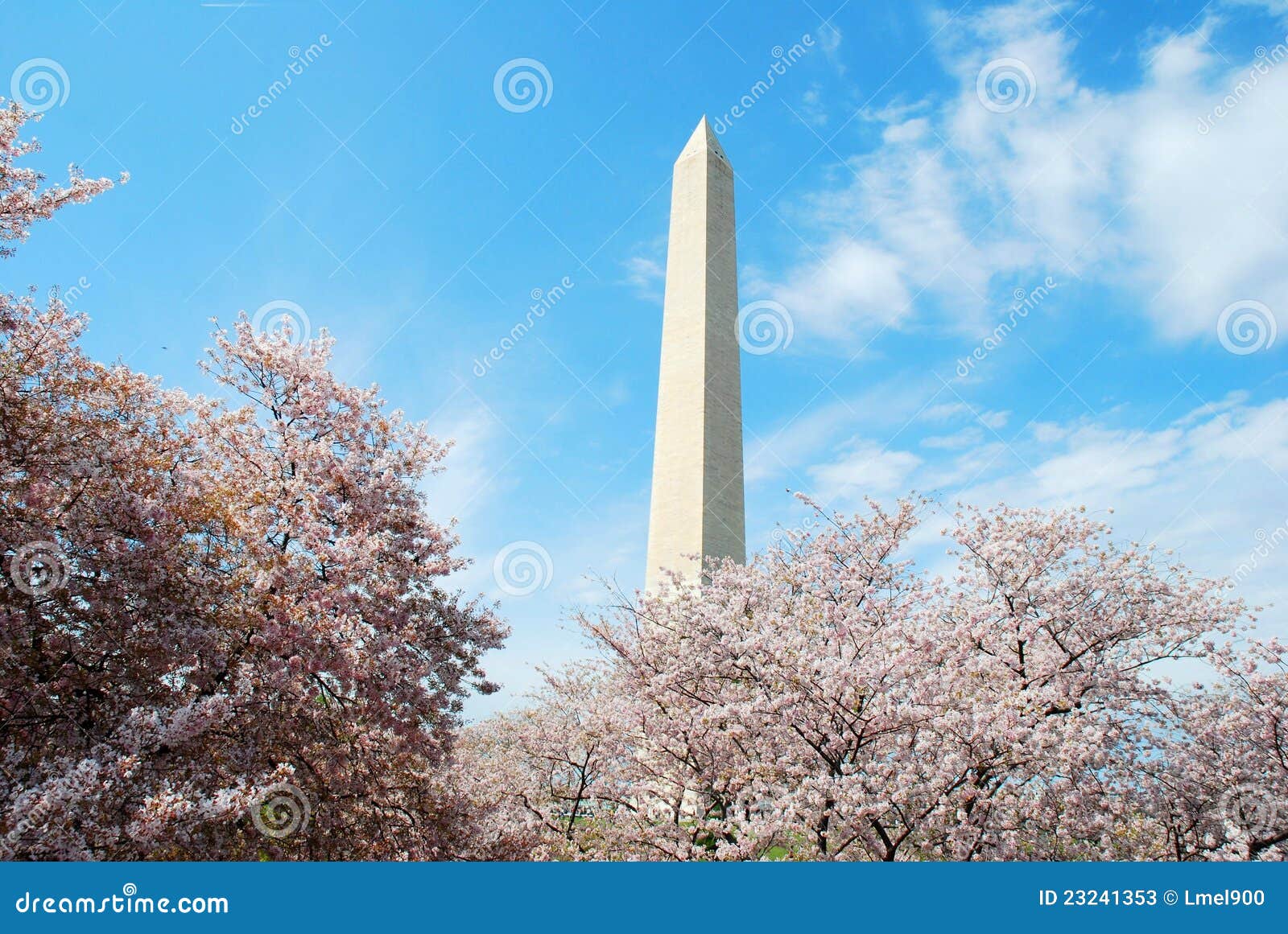 Washington DC Monument stock image. Image of blue, branches - 23241353