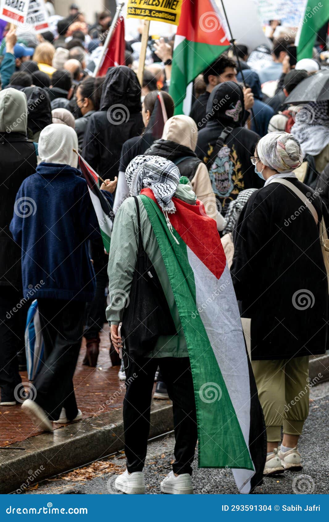 Washington Dc 10142023 : Mujer Con Bandera Palestina Imagen de archivo ...