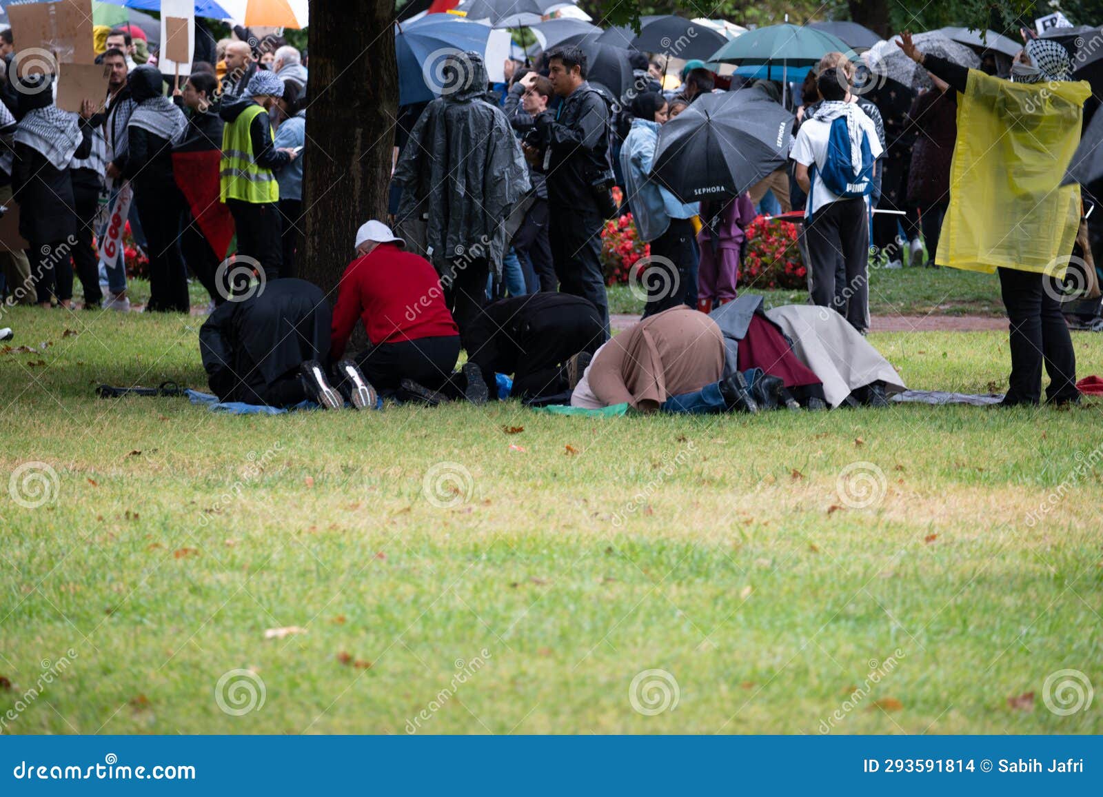 Washington, DC - 10-14-2023: Muslims Praying in a Park by Palestine ...