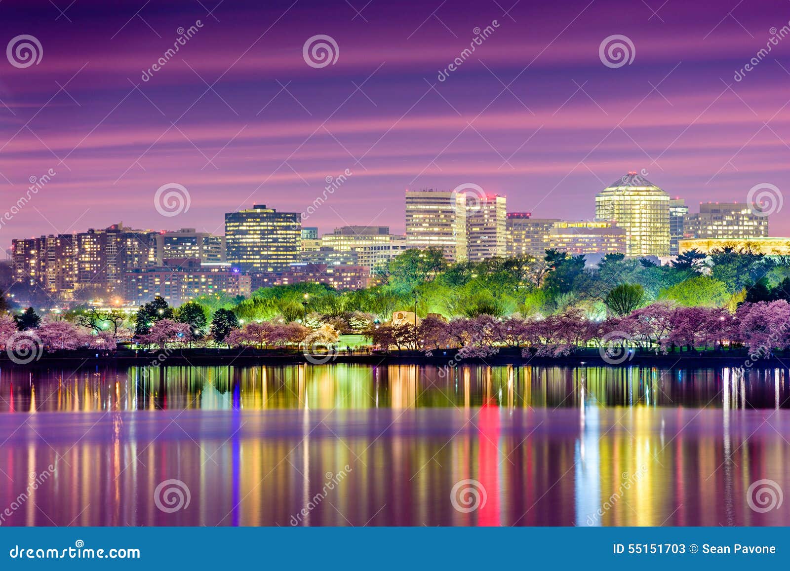 Washington DC Skyline stock image. Image of cherry, office - 55151703